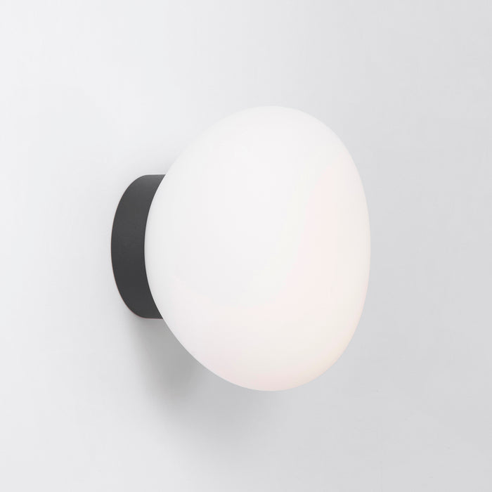 Egg Wall / Ceiling Light